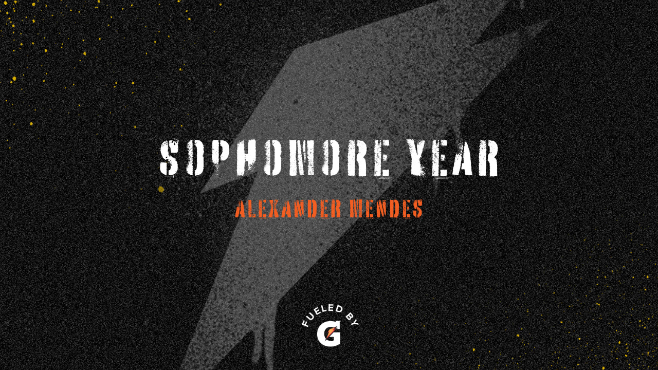 Sophomore Year - Alexander Mendes highlights - Hudl